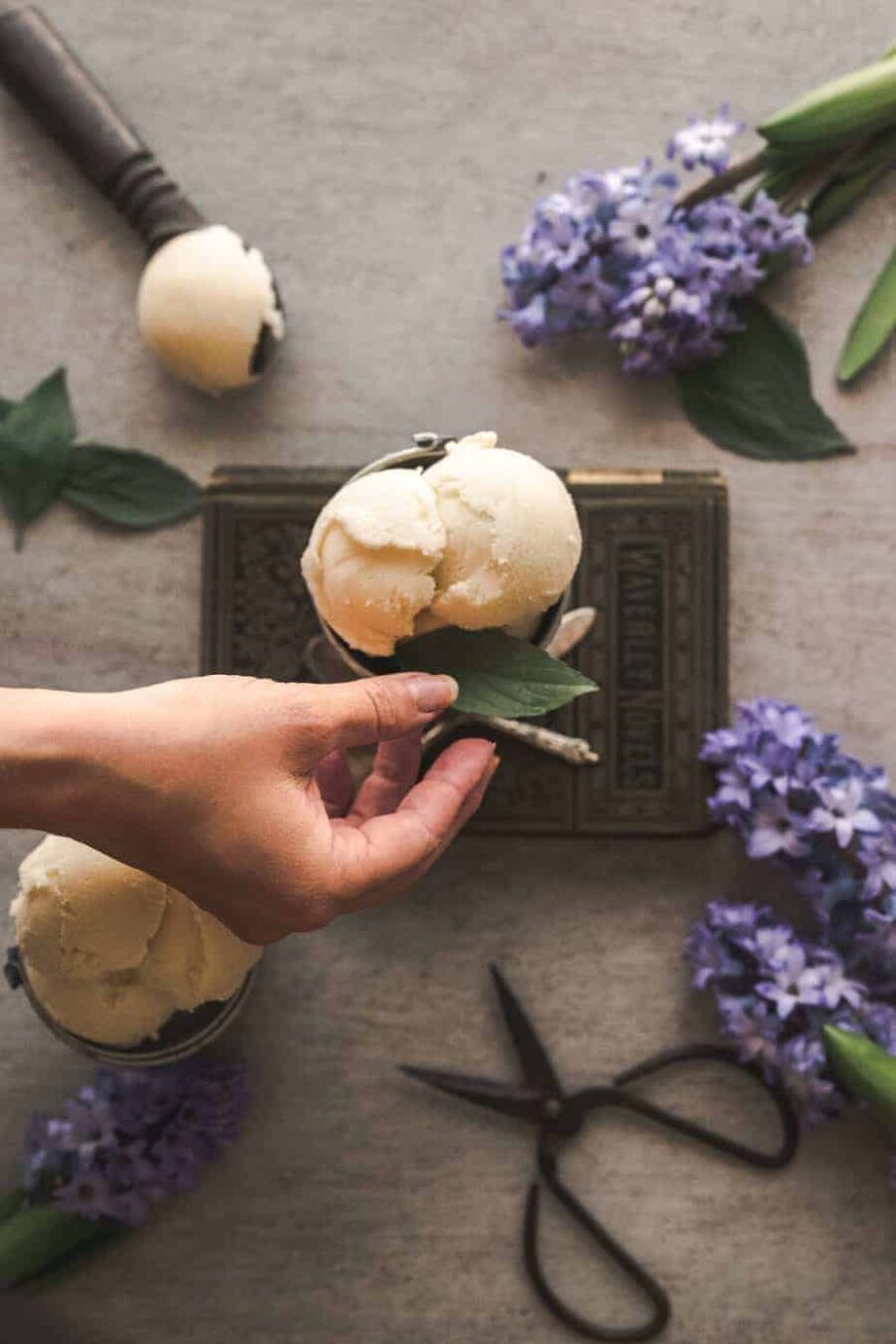 Homemade Basil Ice Cream - Frolic and Fare