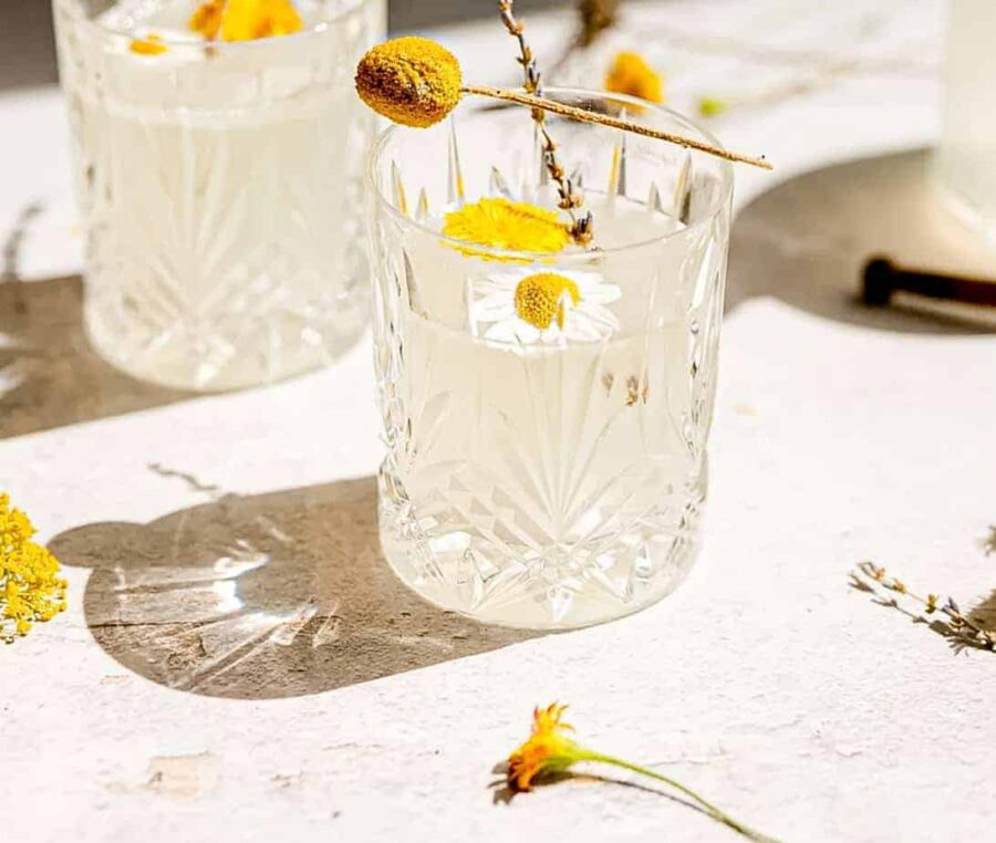 How to make dandelion lemonade - Frolic and Fare