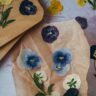 How To Press A Pansy - Frolic & Fare