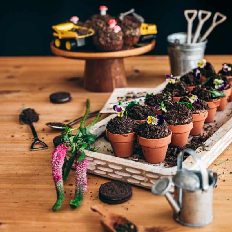 How To Make Edible Moss For Woodland Cakes - Frolic & Fare
