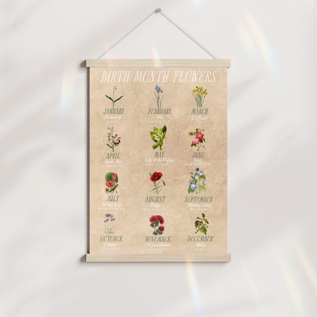 Pressed Edible Flowers Packs For Cake Decorating - Frolic & Fare