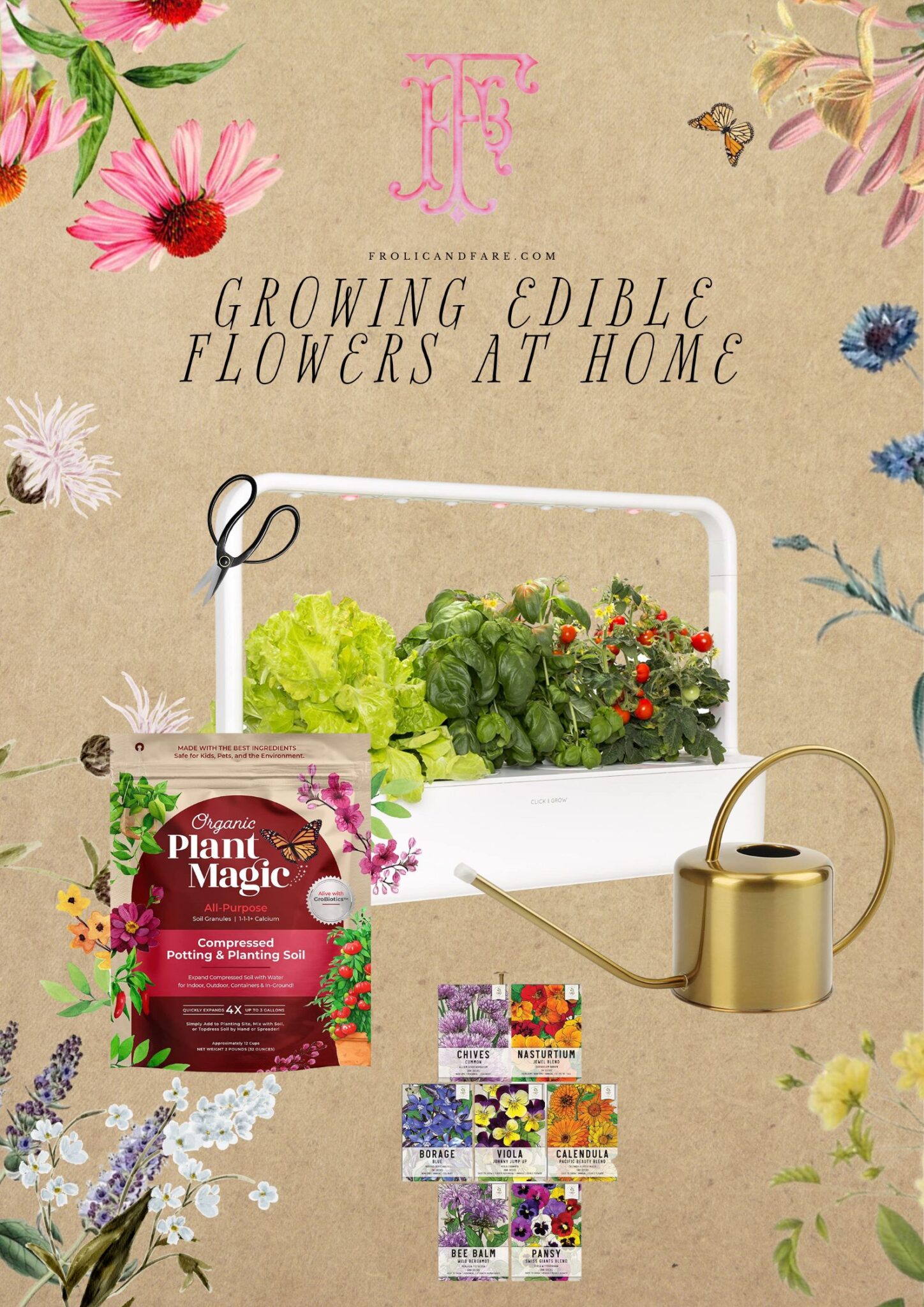 How To Grow Edible Flowers At Home - Frolic & Fare