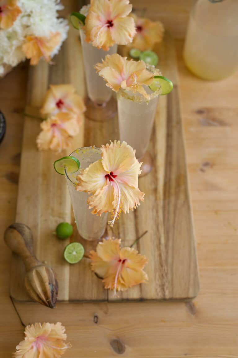 Refreshing Hibiscus Limeade - Frolic & Fare
