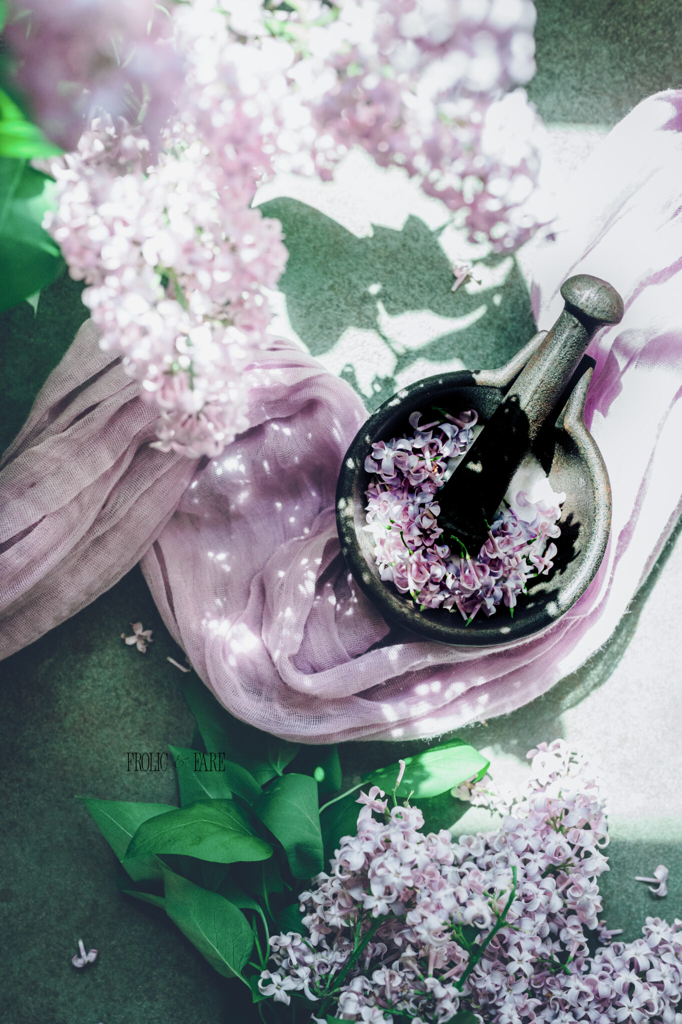 How To Make Lilac Sugar (3 Easy Methods For Floral Infused Sugar ...